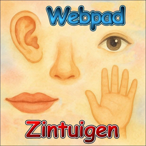 Webpad Zintuigen :: webpad-zintuigen